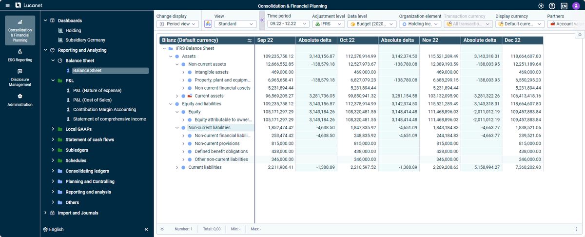 Consolidation & Financial Planning | LucaNet Support